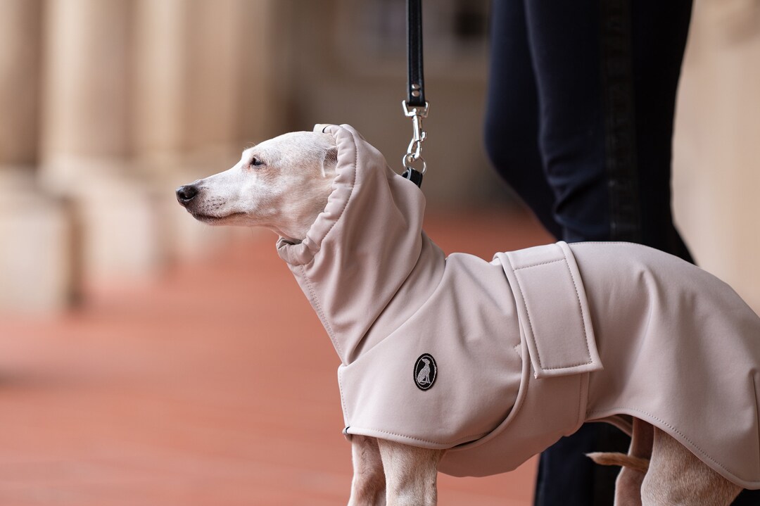 Waterproof Windproof Coat Rain Protect Dog Wear Outdoor Garment Rain ...