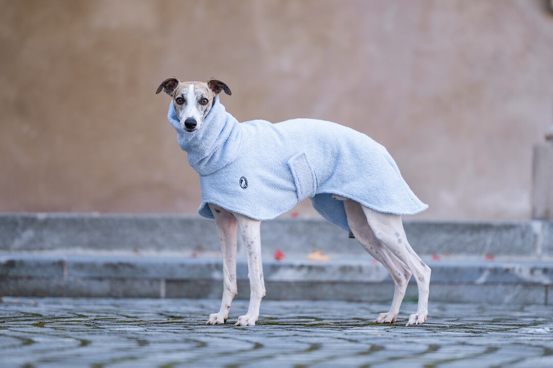 Whippet Bathrobe Iggy Robe Italian Greyhound Bathrobe Dog Grooming Pet ...