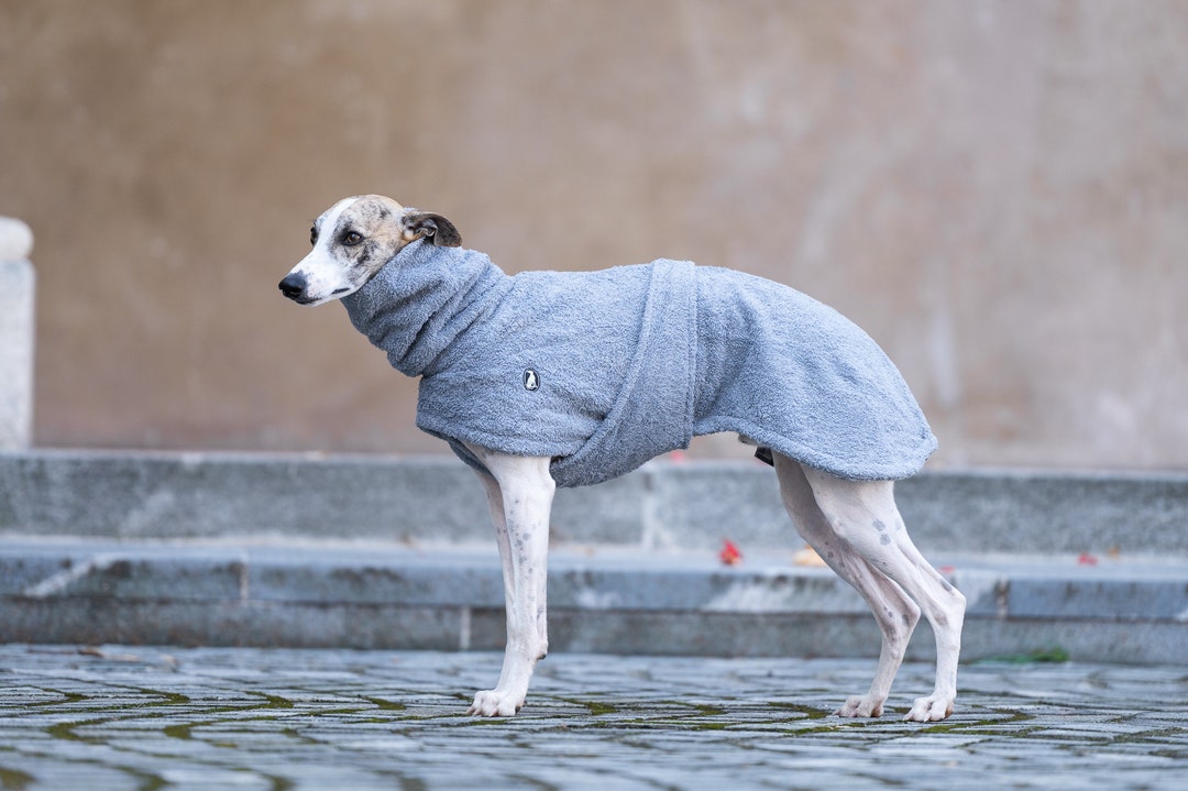 Whippet Bathrobe Iggy Robe Italian Greyhound Bathrobe Dog Grooming Pet ...
