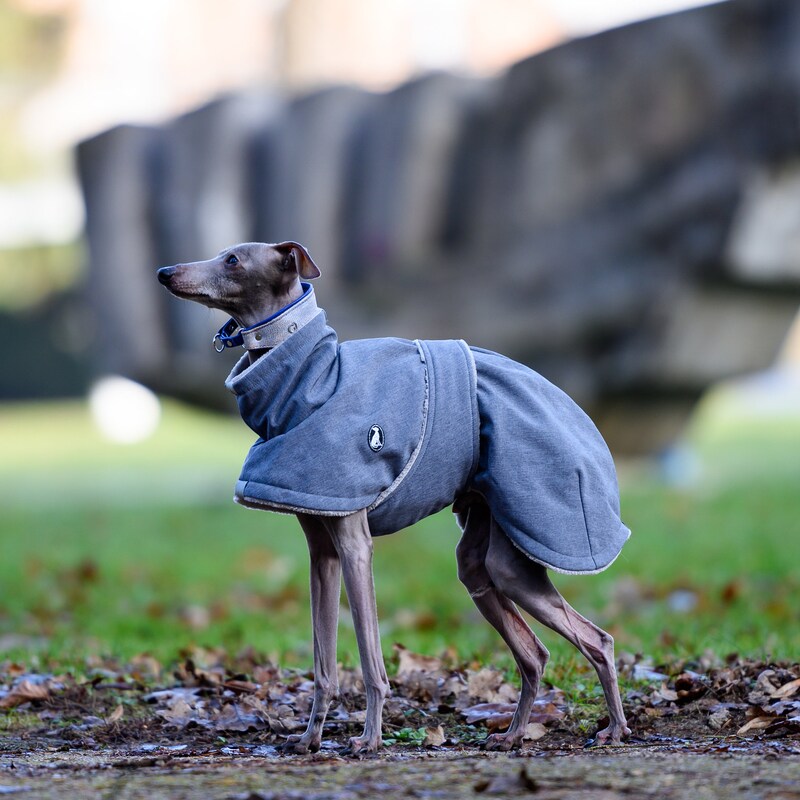 Greyhound Coats - Etsy UK