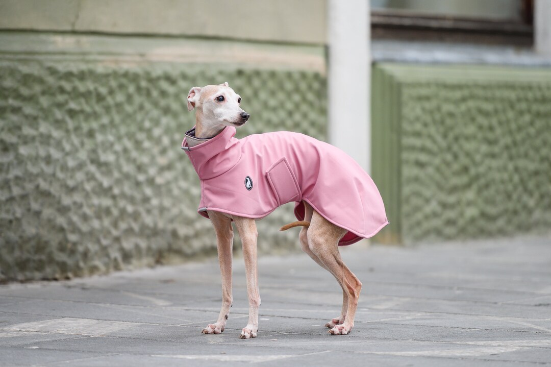 Whippet Jacket Italian Greyhound Clothing Whippet Coat Iggy Rain Jacket ...