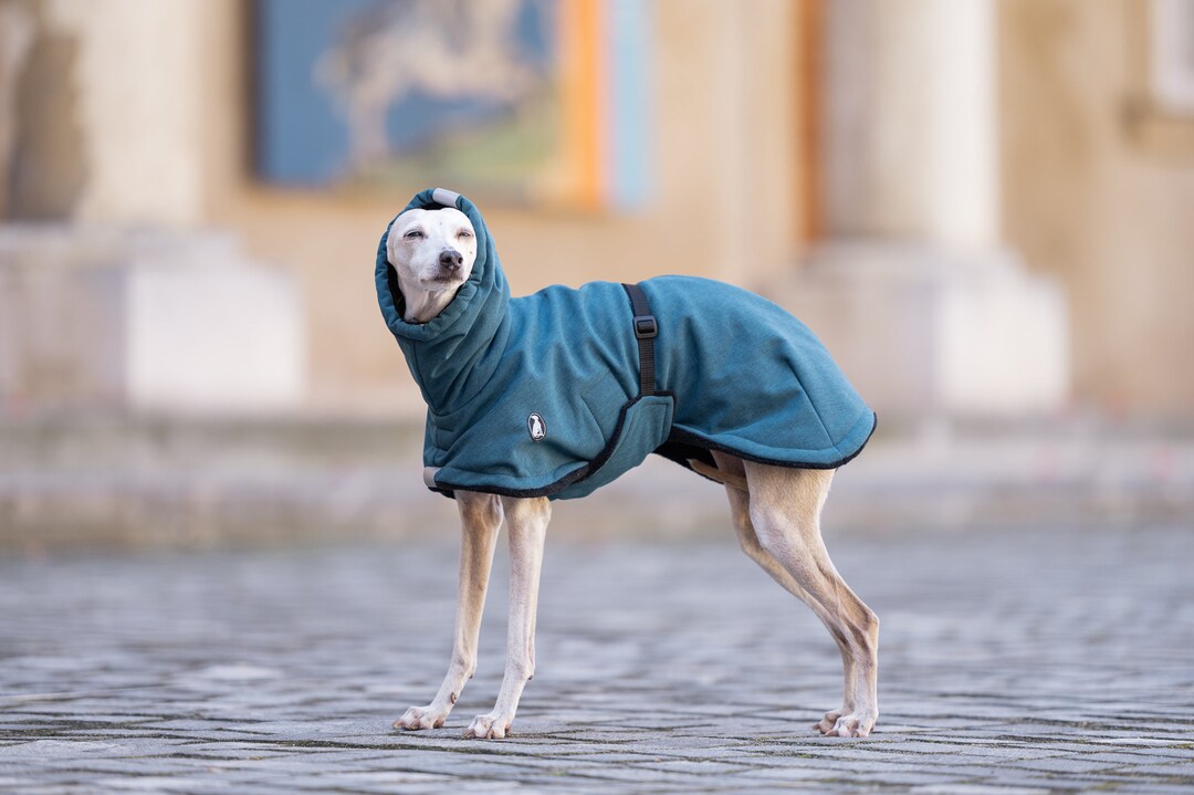 Whippet Winter Coat Iggy Warm Coat Italian Greyhound Clothing Whippet ...