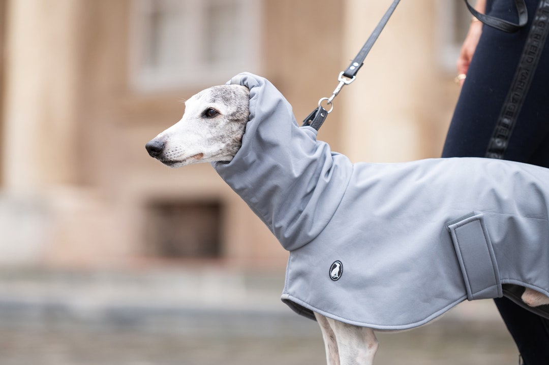 Whippet Raincoat Italian Greyhound Clothing Whippet Coat Iggy Rain ...