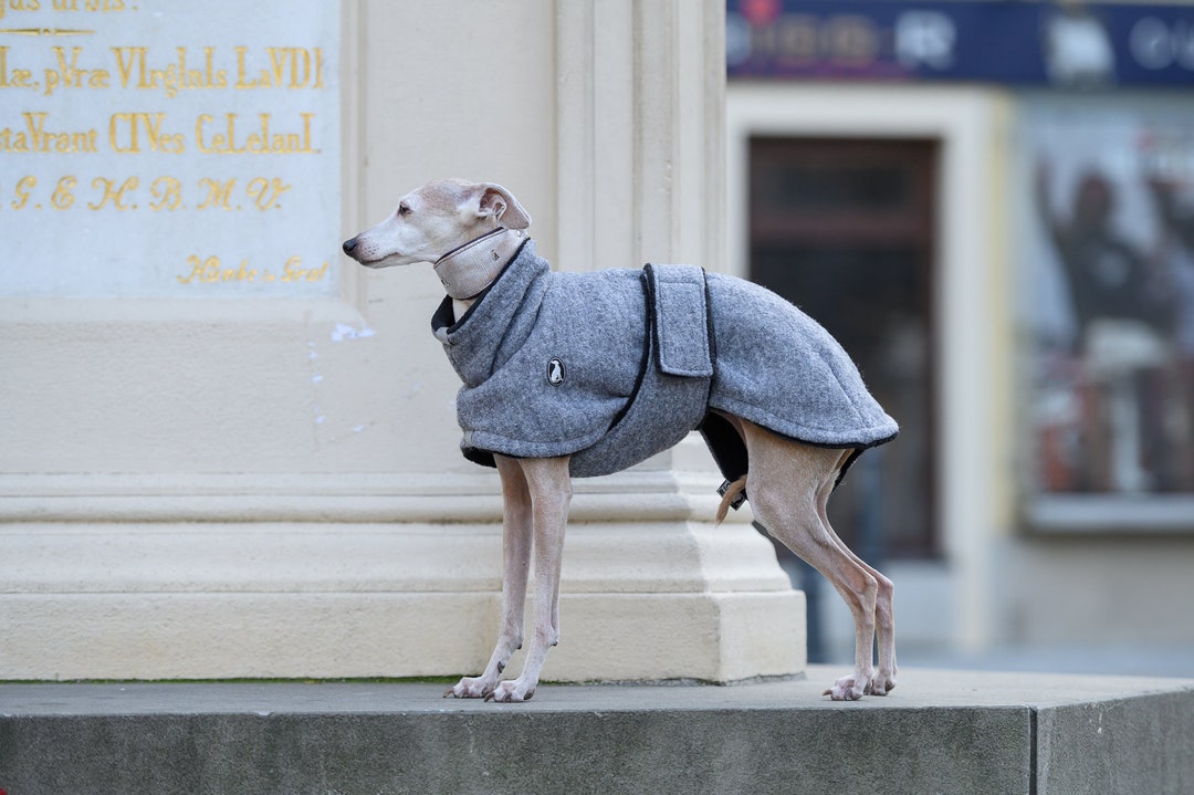 Whippet Winter Coat Iggy Warm Coat Italian Greyhound Clothing Whippet ...
