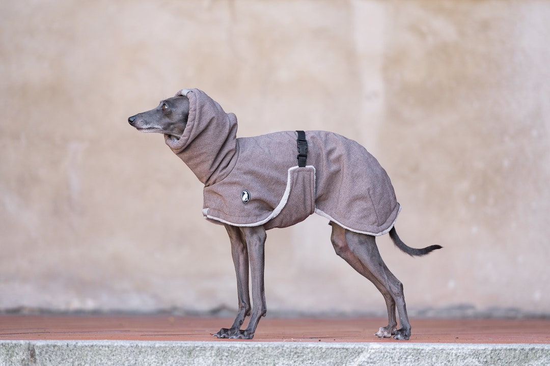 Whippet Winter Coat Iggy Warm Coat Italian Greyhound Clothing Whippet ...