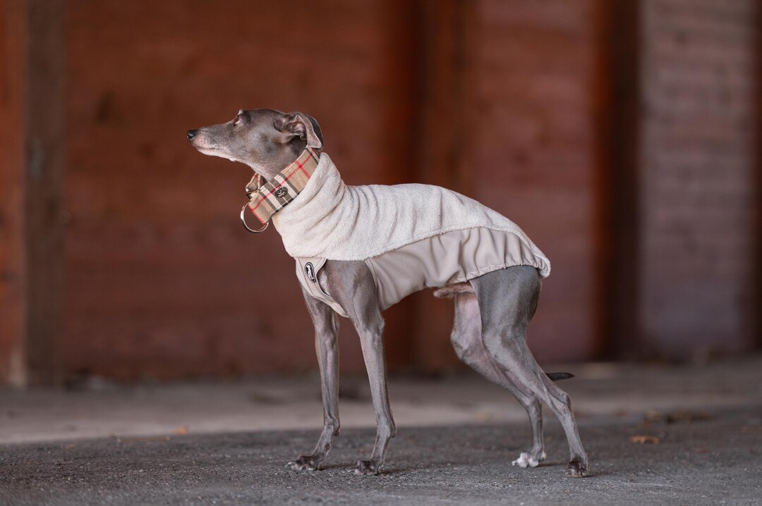 Whippet Jumper Iggy Warm Clothing Protection Winter Wear Galgo Sweater ...