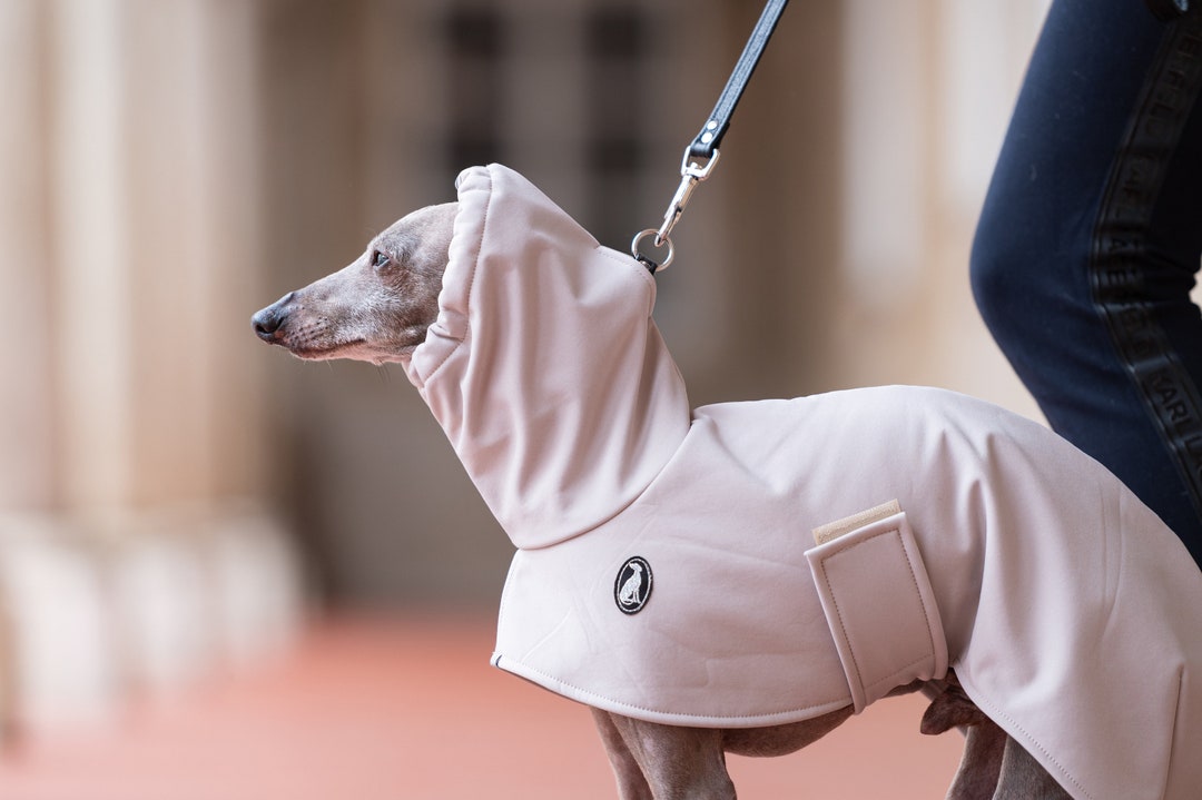 Sighthound Rain Coat For Greyhound Protective Gear For Whippet Weather ...