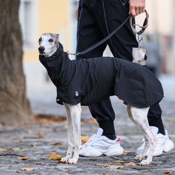 Greyhound Coats - Etsy