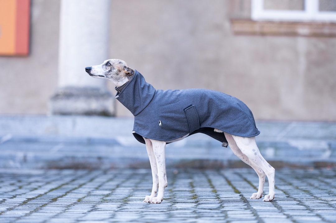 Whippet Jacket Italian Greyhound Clothing Whippet Coat Iggy Rain Jacket ...
