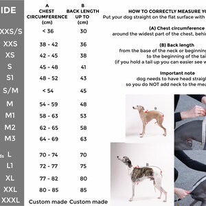 Waterproof Whippet Rain Protection for Italian Greyhound Walking Gear ...