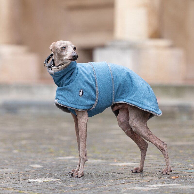 Greyhound Coats - Etsy UK