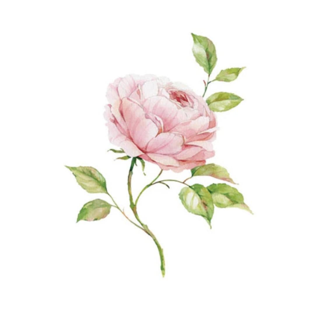 Pink Rose Heat Transfer: Romantic Floral Iron-on Patch - Etsy