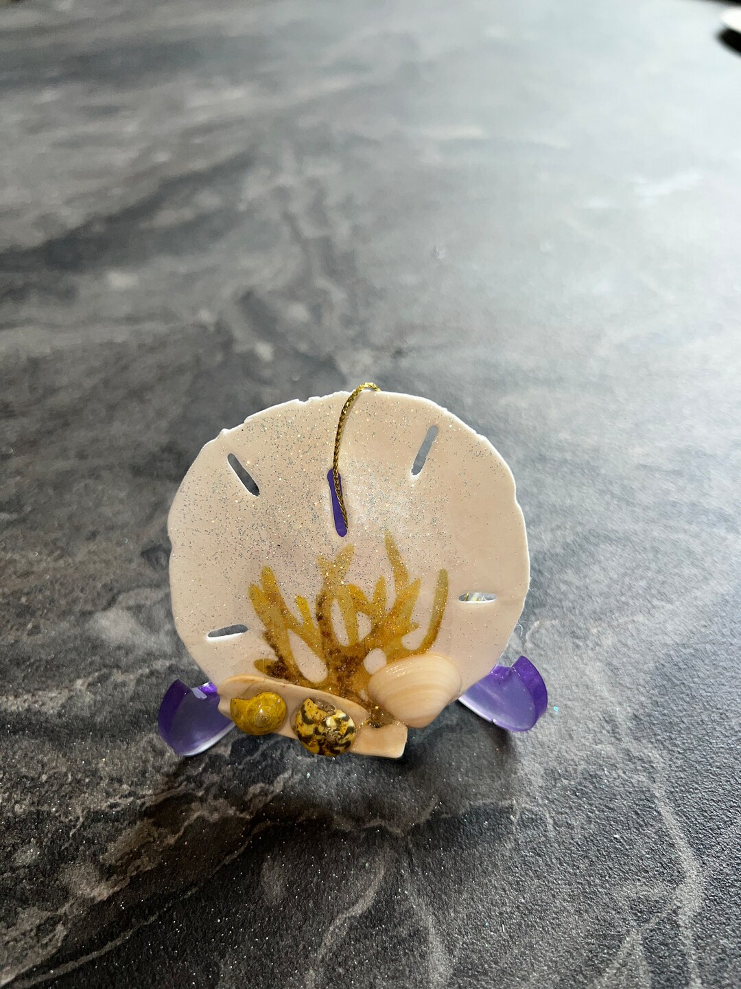 Sand Dollar (real) With Yellow Coral and Shells Decoupaged on It - Etsy