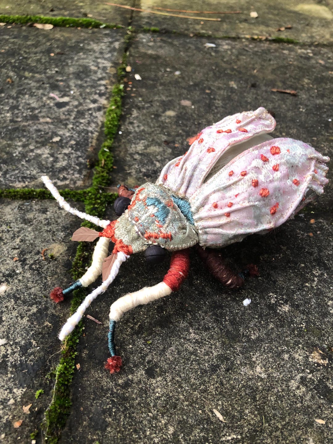Textile Sculpture Beetle Insect Wall Art, Faux Taxidermy - Etsy