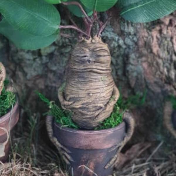 Mandrake Sculpture - Etsy
