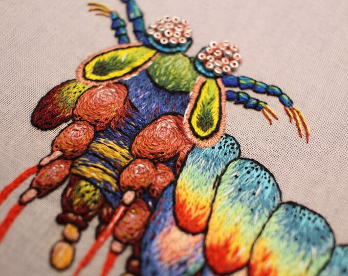 Peacock Mantis Shrimp Hand Embroidered Hoop - Sea Life Marine Biology ...