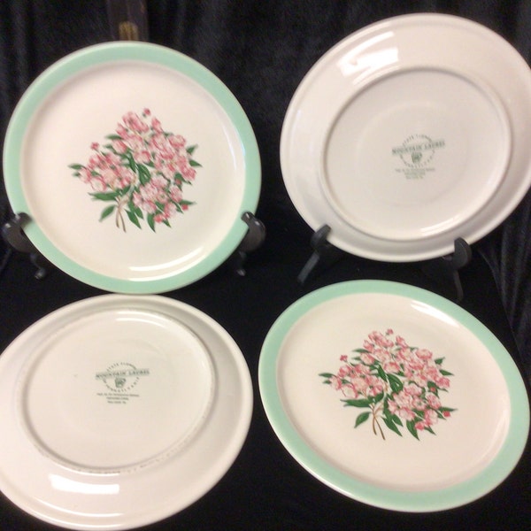 Railroad Dining Car China - Etsy