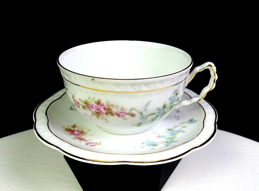 ZS and CO Zeh Scherzer Bavaria Porcelain Floral Antique 2 Cup & Saucer ...