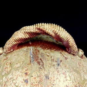 SMP Steve Murray Sauk Mountain Pottery Stoneware 9 1/2 Lidded Serving ...