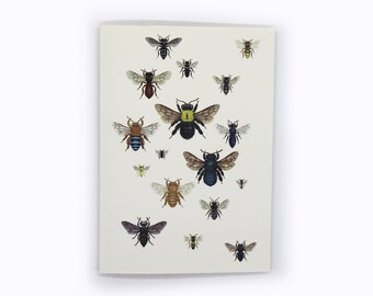 4-pack Australian Native Bee cards | Etsy