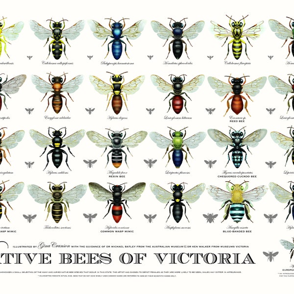 GinaCransonArtworks - Etsy Australia