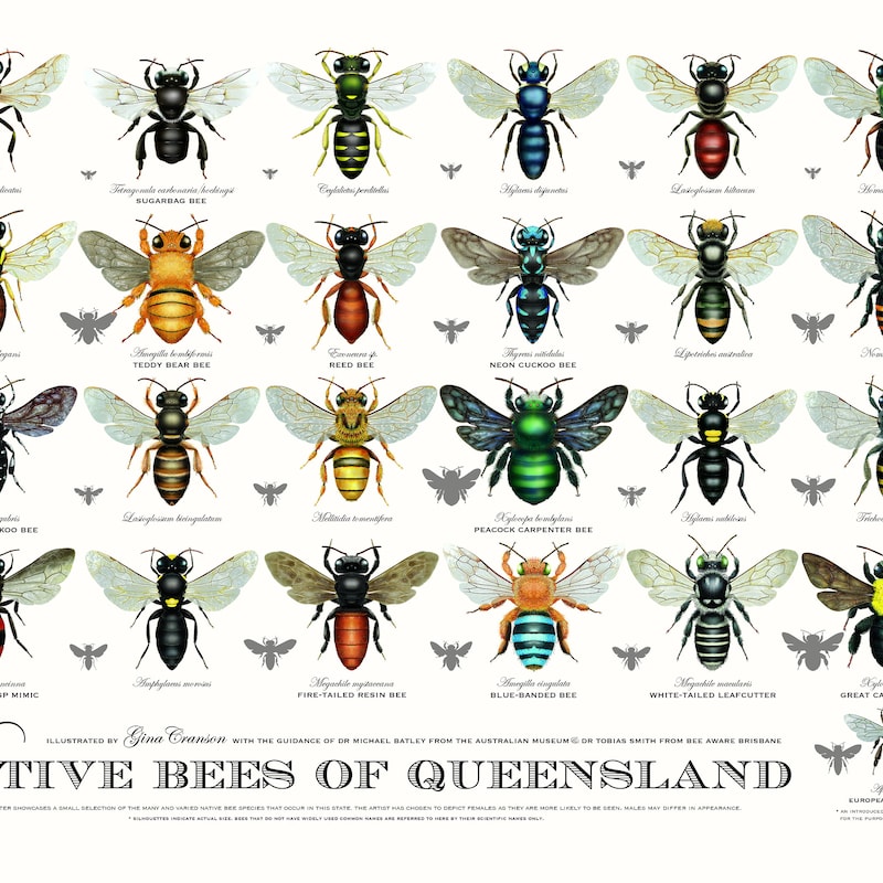 GinaCransonArtworks - Etsy Australia