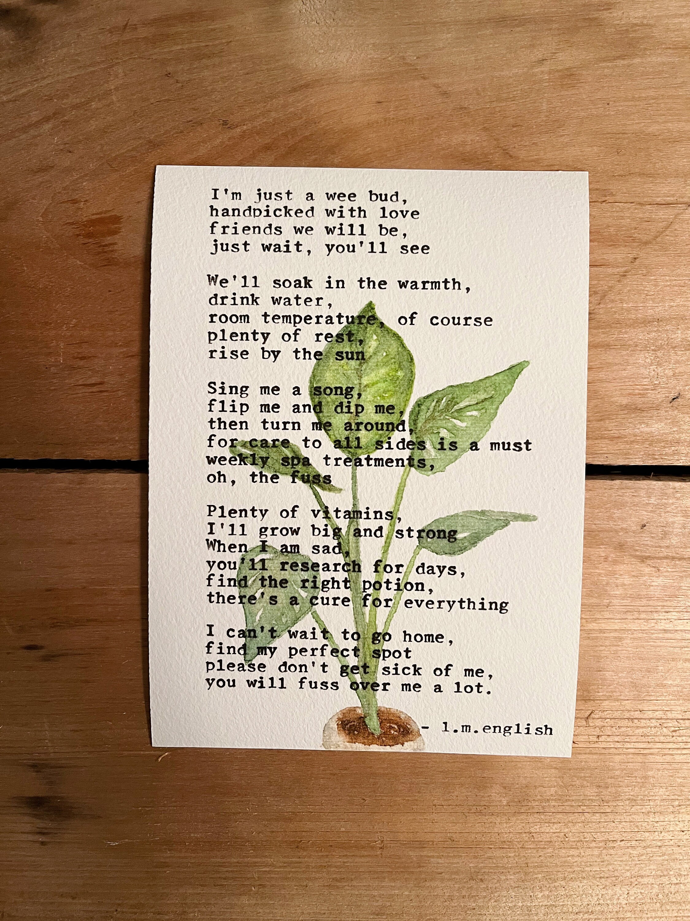 Poetry Wall Art, Whimsical Art, Plant Lover Gift, Typed Quote, Plant ...