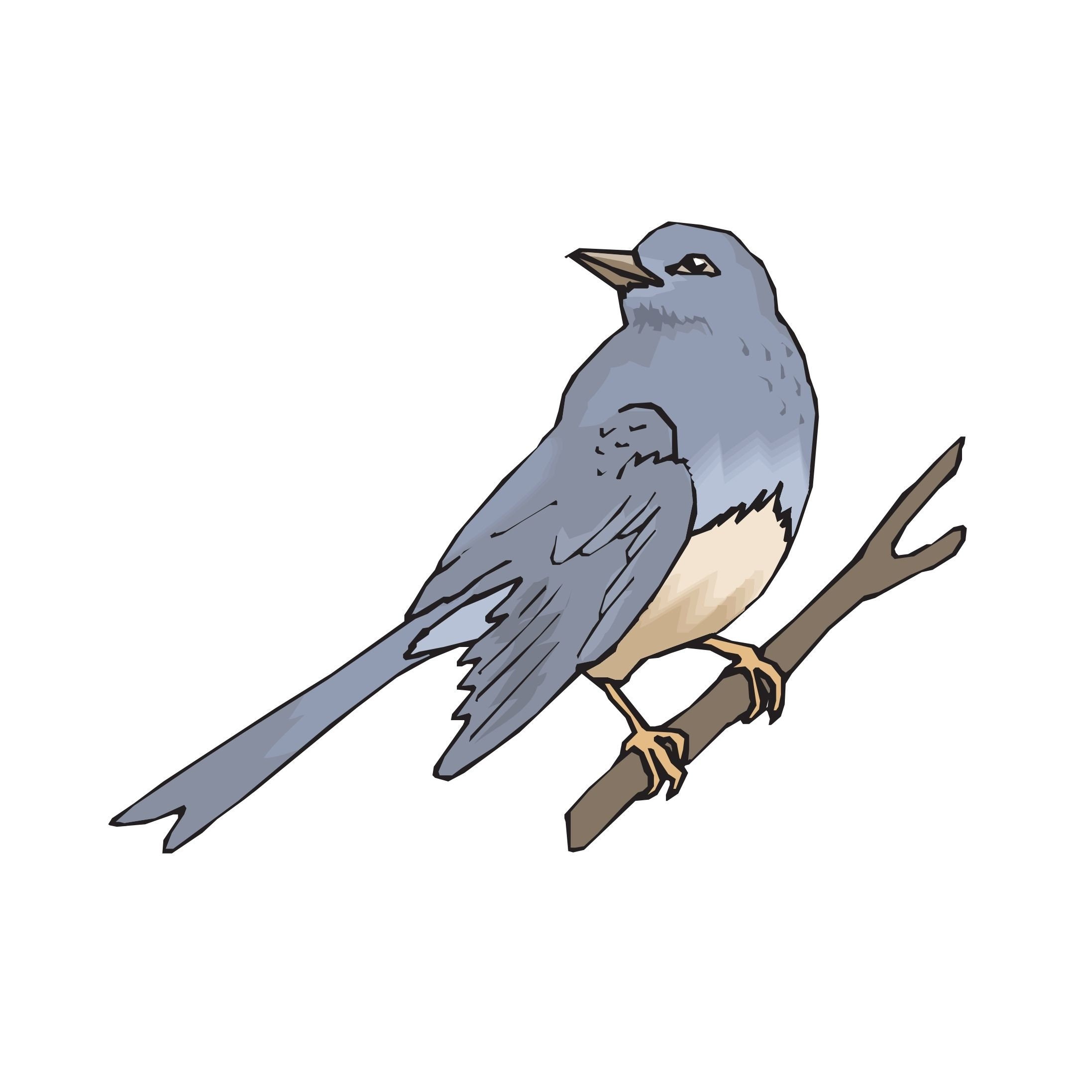 20 Birds on a Perch Digital Download DIY Crafts Clipart - Etsy