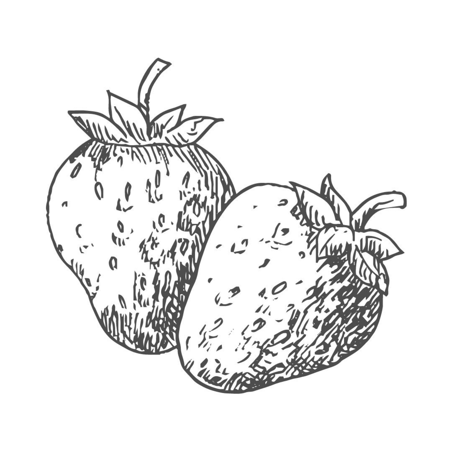 12 Strawberry strawberry Svg Dxf Jpg Png Eps Cut File - Etsy