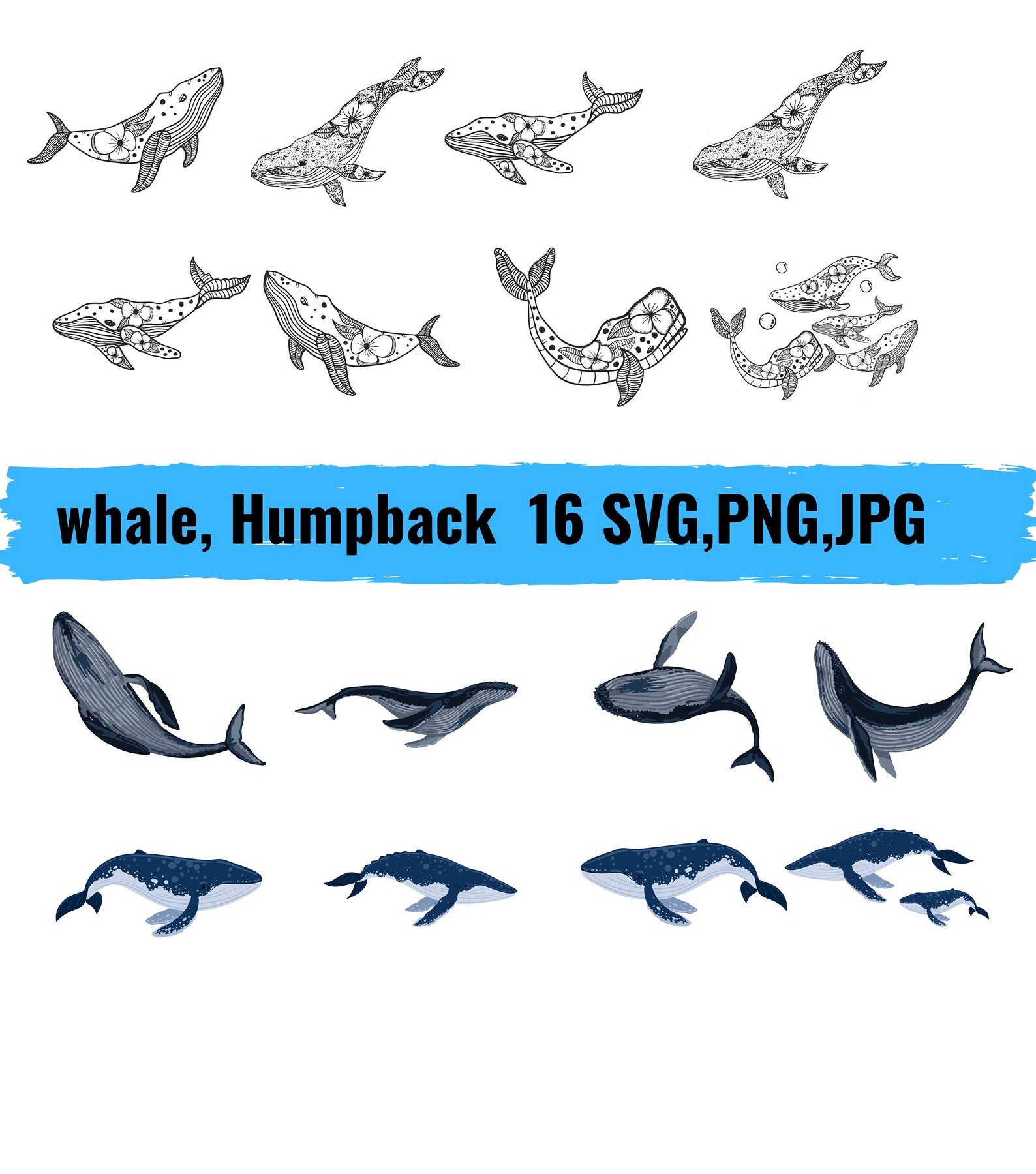 Whale,whale ,svg,hugsmpback Whale SVG, SVG, Whale Svg File, Humpback ...