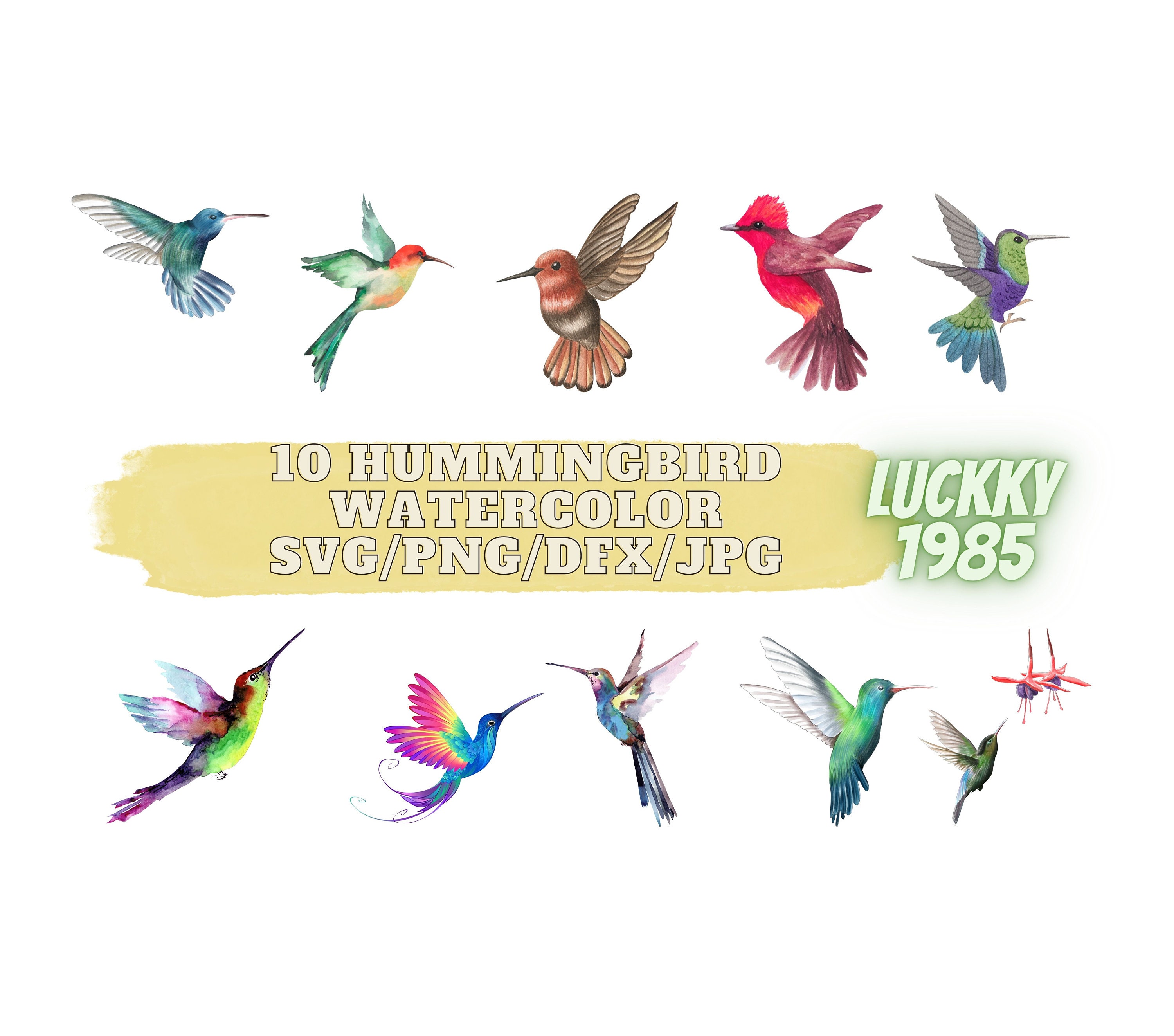 10 Hummingbird SVG, PNG, JPEG. Hummingbird Eps. Watercolor Hummingbird ...