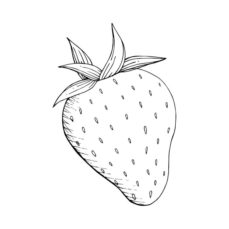 12 Strawberry strawberry Svg Dxf Jpg Png Eps Cut File - Etsy