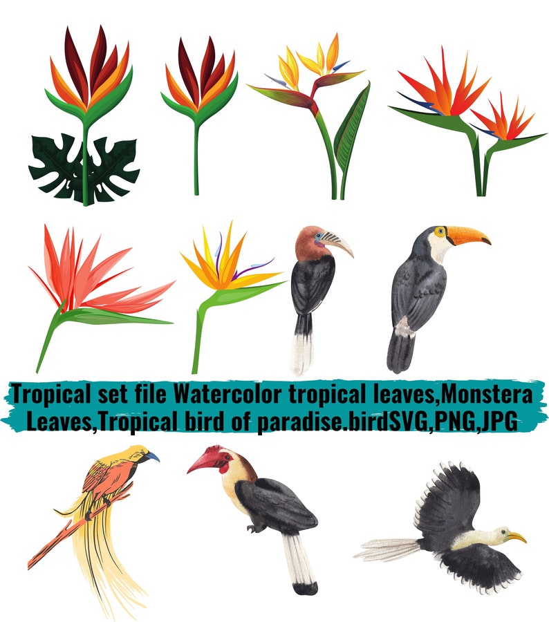 Watercolor Tropical Leaves Monstera Leaves tropical Wedding Clipart ...