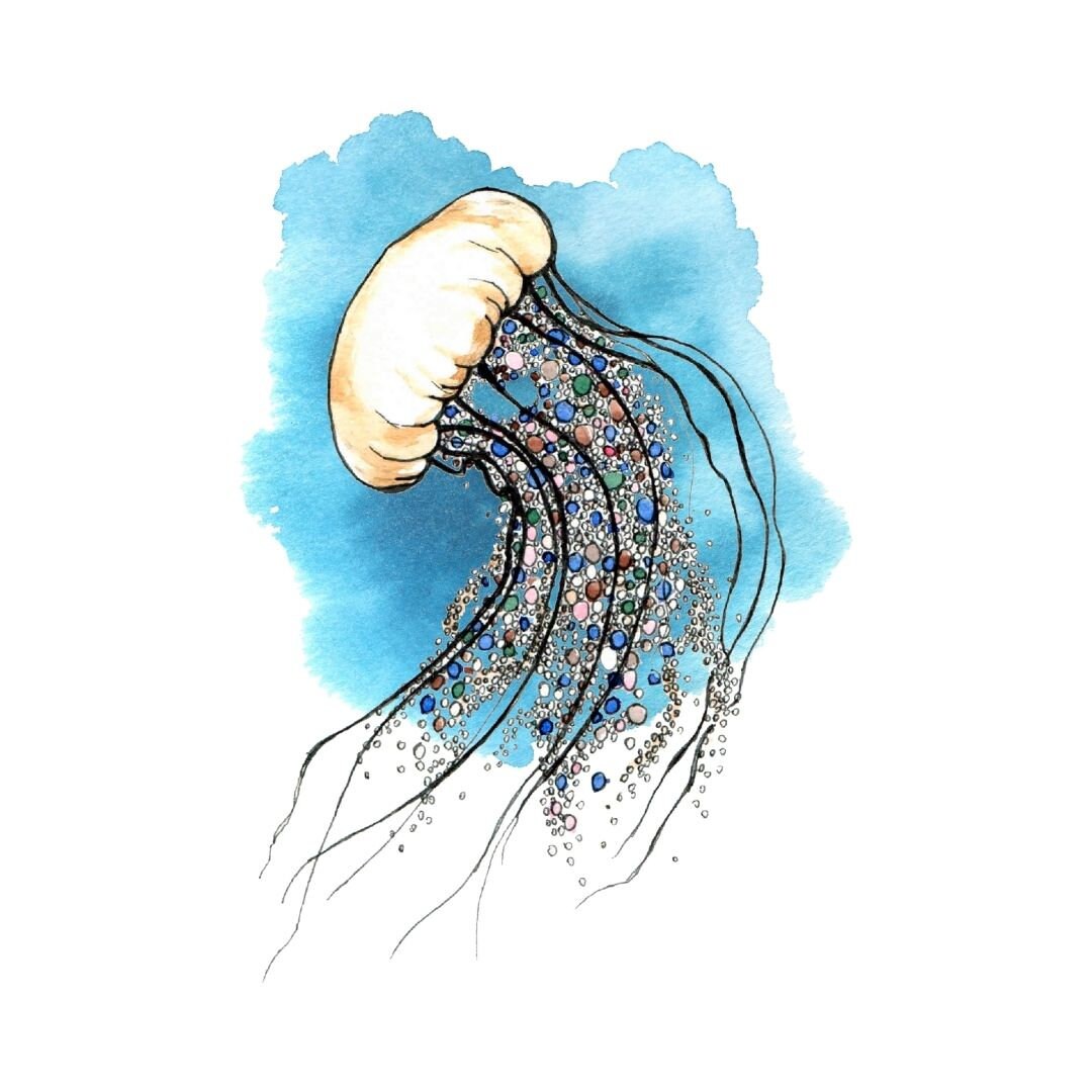 10 Colorful Ocean Svg coral Svgsilhouettespng Cut File - Etsy