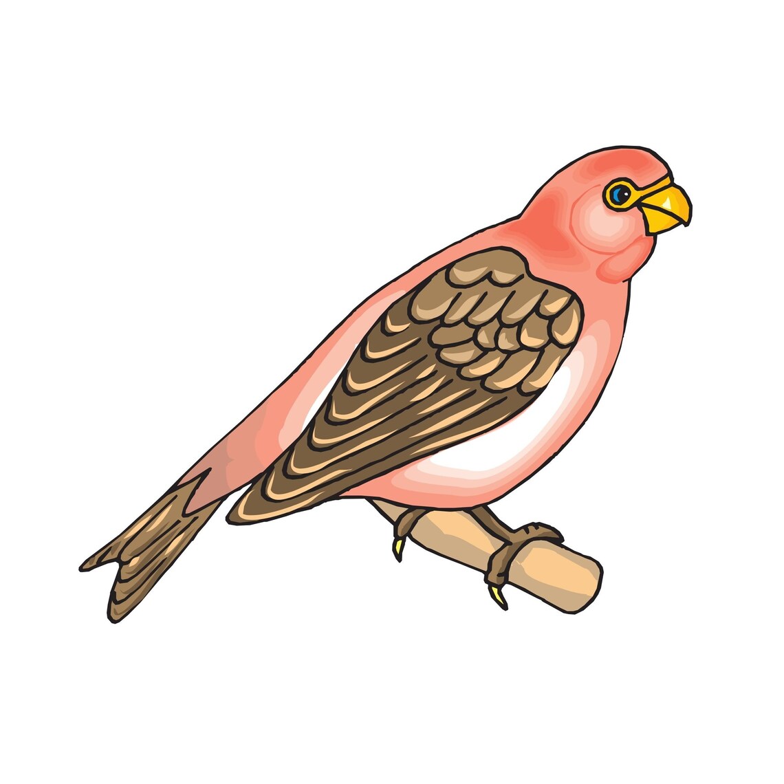 20 Birds on a Perch Digital Download DIY Crafts Clipart - Etsy