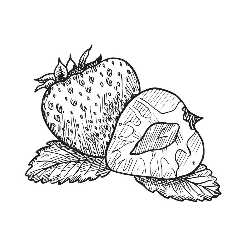 12 Strawberry strawberry Svg Dxf Jpg Png Eps Cut File - Etsy