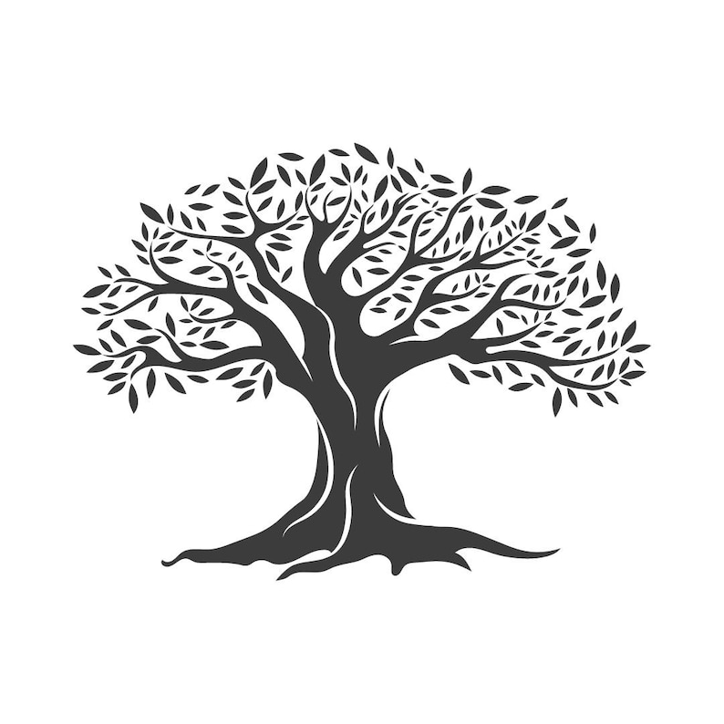 4 Olive Tree Vector SVG Cut File | Pattern Panel | Tree of Life Svg ...