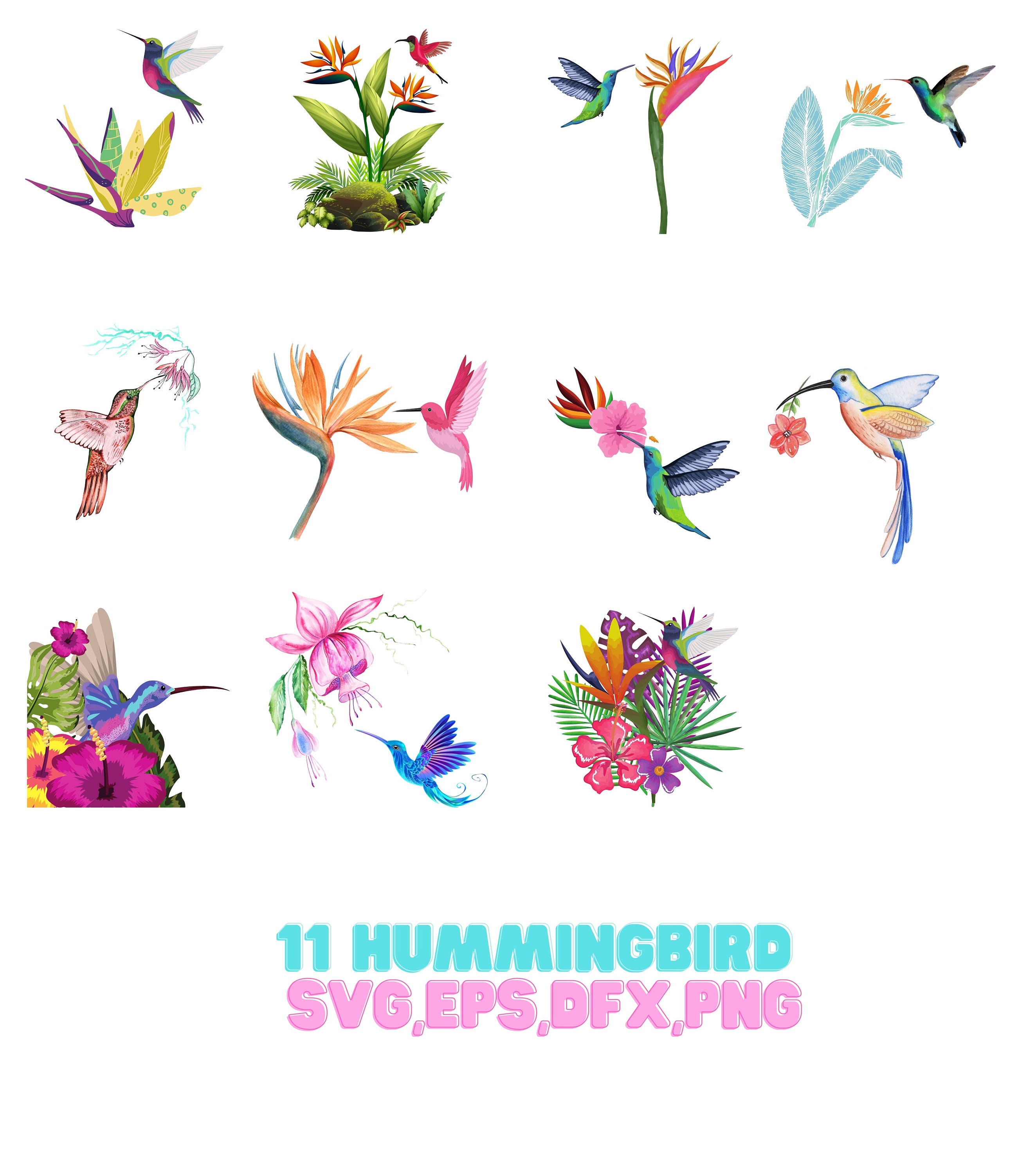 11 Hummingbird Svg Png Eps Dfx ,bird SVG PNG, Hummingbirds Svg, Humming ...