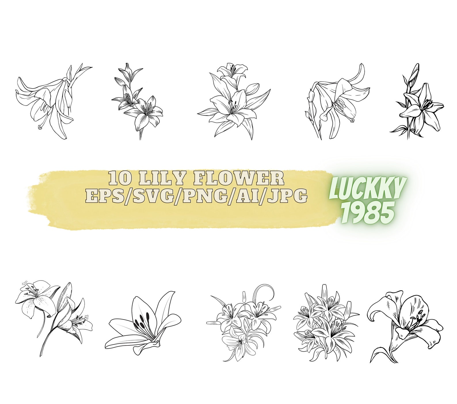 10 Lily Flower Svg Lilium lily Svg Bundle Lily Svghand - Etsy