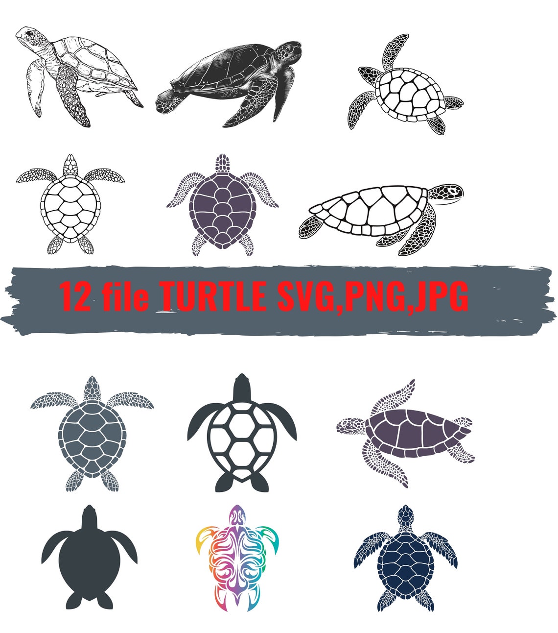 12 File TURTLE SVG Sea Turtle Marine Turtle Tropical Tortoise - Etsy