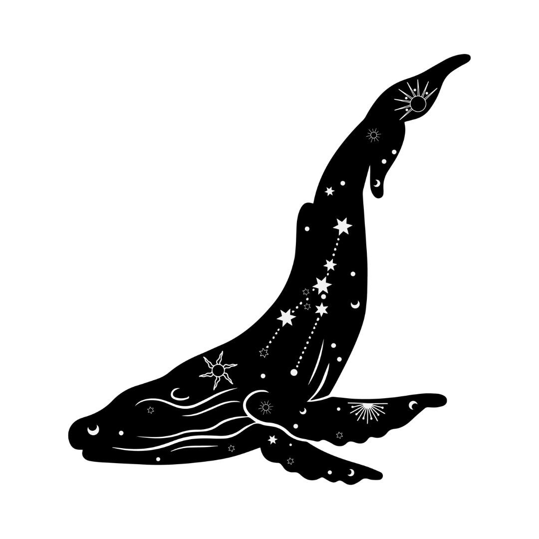8 Floral Star Animal Svg Floral Anima Star Animal Galaxy - Etsy