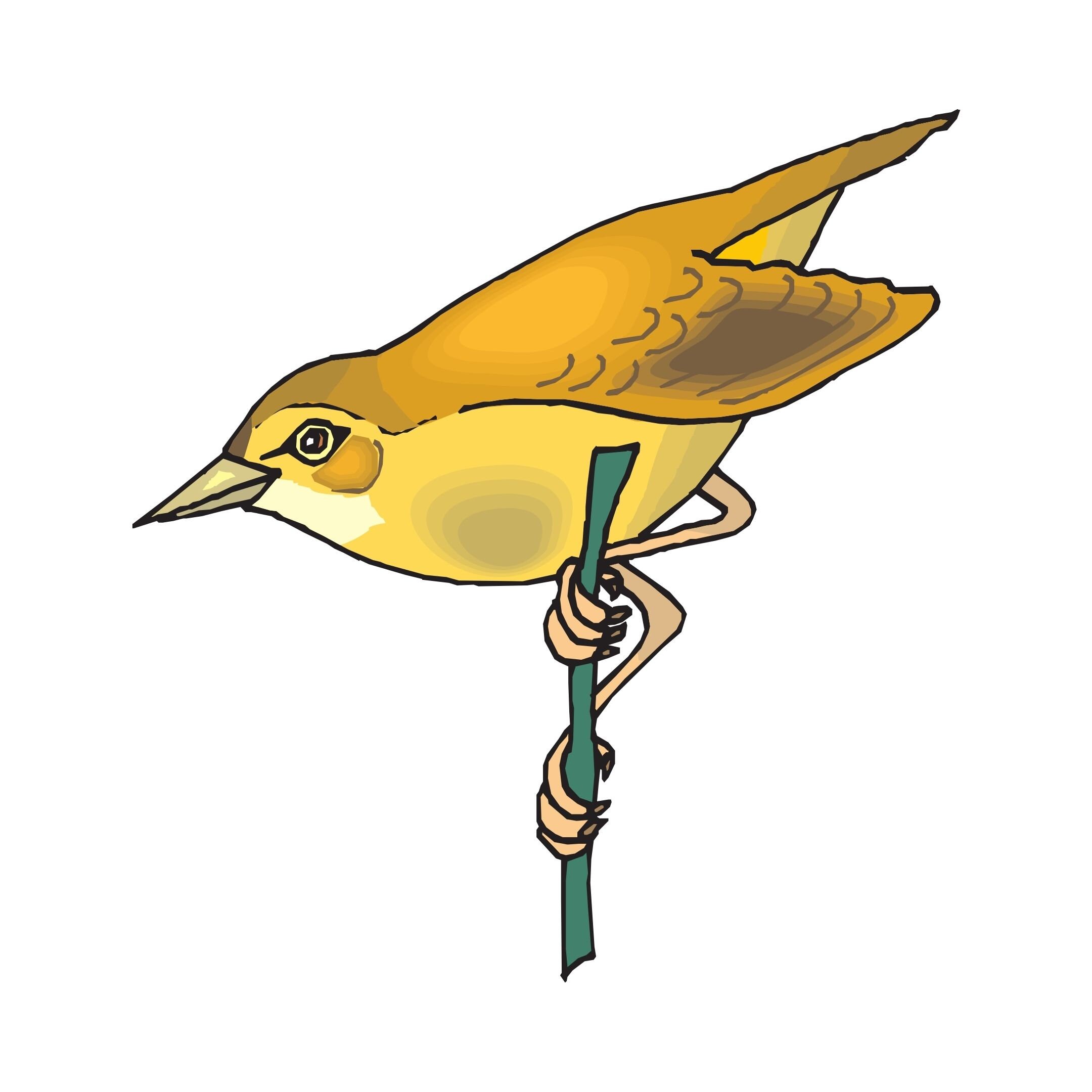 20 Birds on a Perch Digital Download DIY Crafts Clipart - Etsy