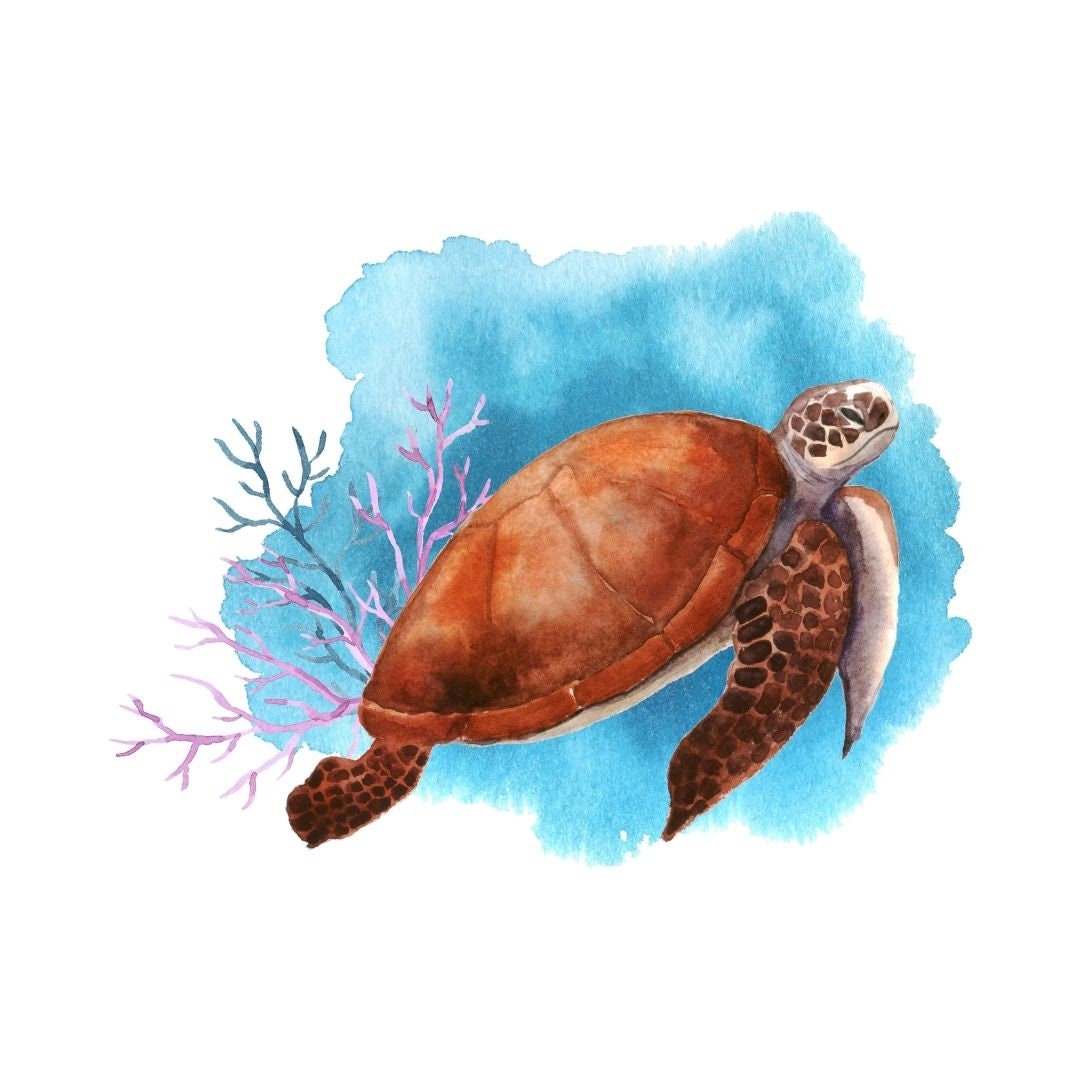 10 Colorful Ocean Svg coral Svgsilhouettespng Cut File - Etsy