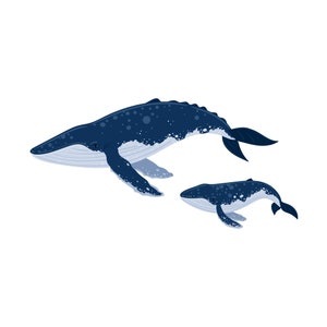Whale,whale ,svg,hugsmpback Whale SVG, SVG, Whale Svg File, Humpback ...