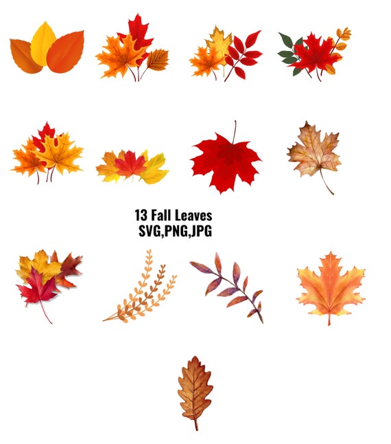 13 Fall Leaves Svg Fall Svg Fall Leaf Svg Bundle Fall Png - Etsy
