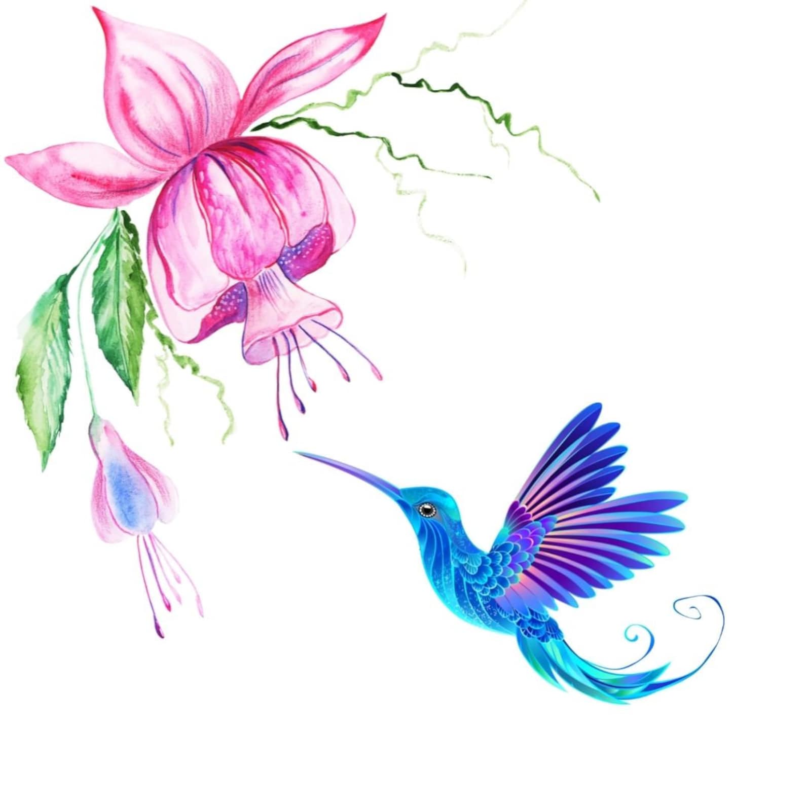 11 Hummingbird Svg Png Eps Dfx bird SVG PNG Hummingbirds - Etsy