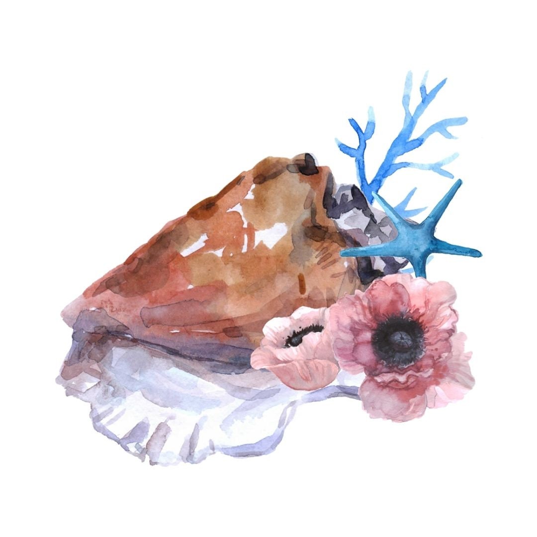 10 Colorful Ocean Svg coral Svgsilhouettespng Cut File - Etsy