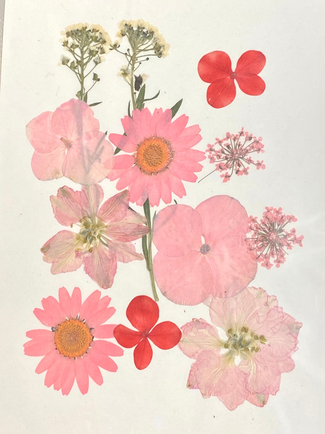 Dried Pressed PINK Flowers and Leaves resin Supply, Jewelry, Cards ...