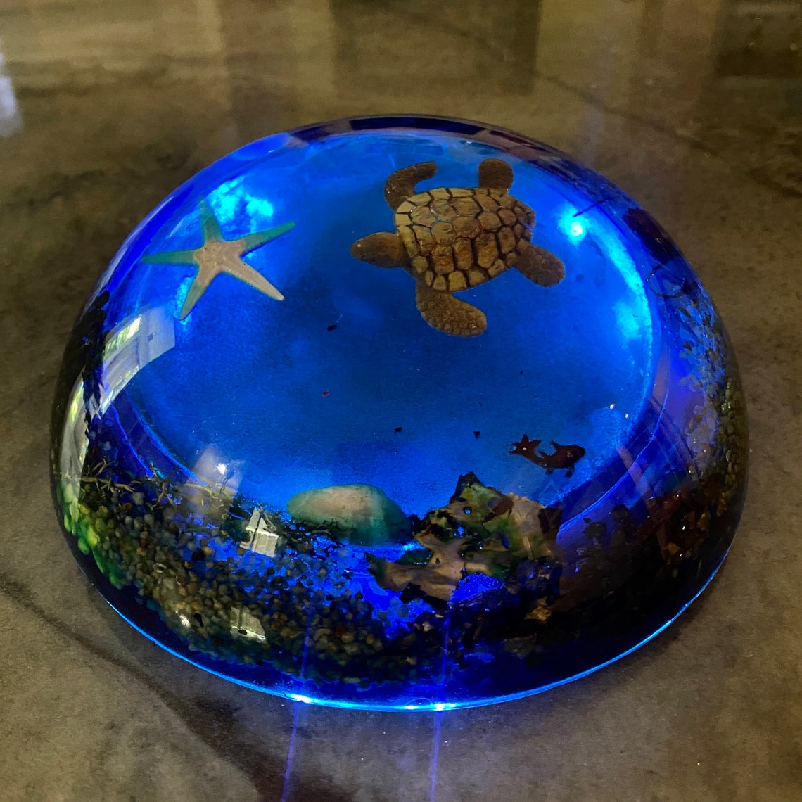 Supersize Sea Turtle Dome Aquarium Lamp. Lighted Resin Ocean | Etsy