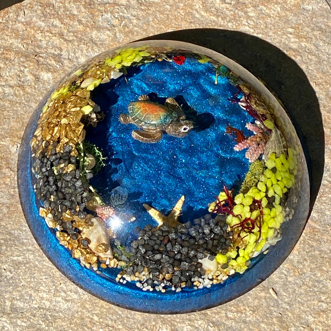 Supersize Sea Turtle Dome Aquarium Resin Ocean Aquarium Dome | Etsy